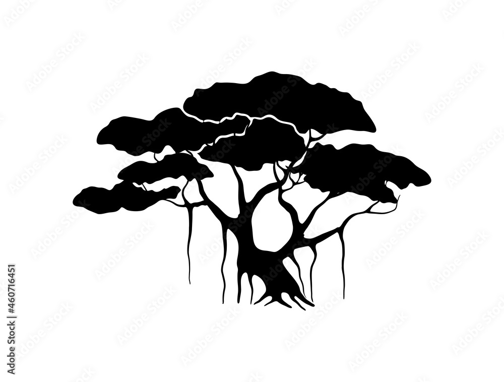 Fotografía ancient banyan tree silhouette vector isolated on white ...