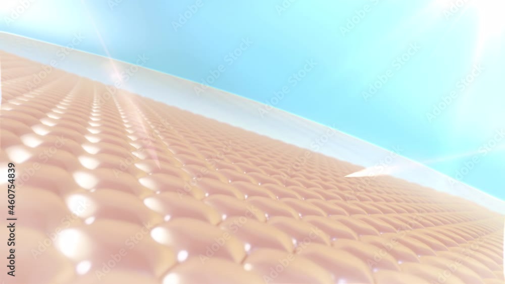 Stockvideon 3D Animation skin cell with UV protection. Serum drops into ...