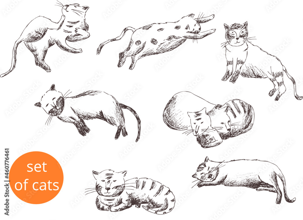 Freehand drawing vector abstract sketches. Set of funny cat in ...