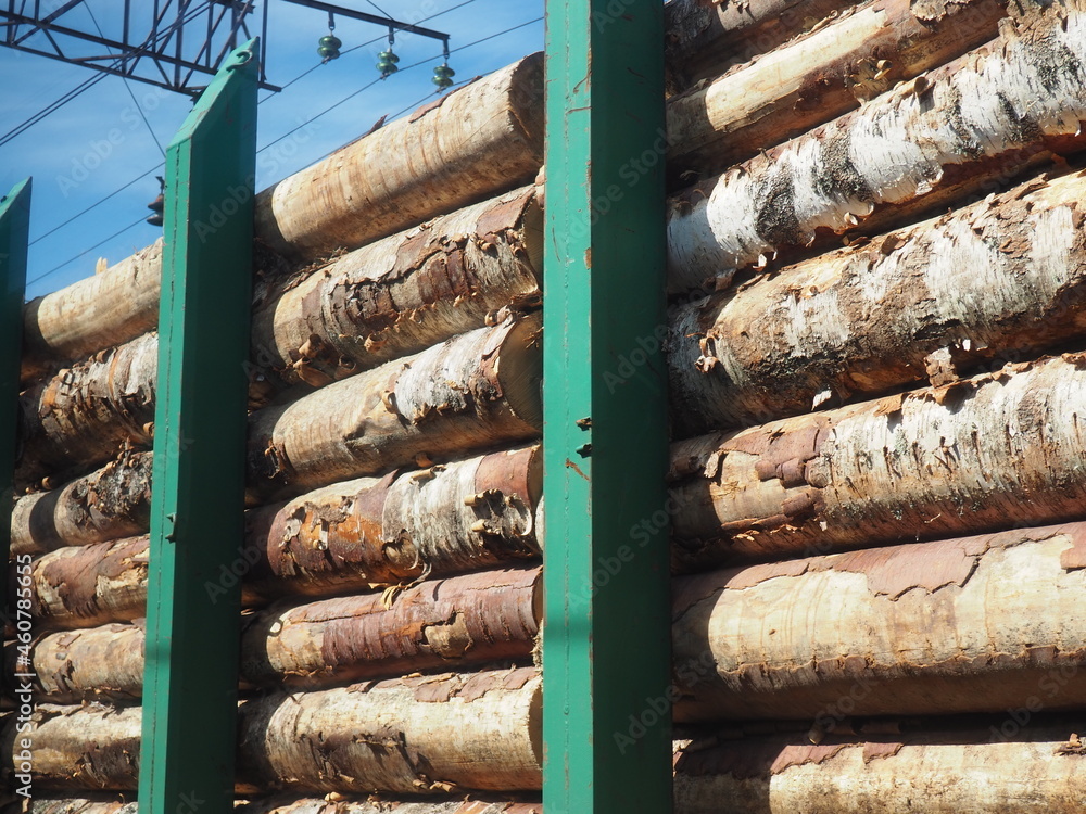 cargo timber train. Open train carriage with a bundle of timber for ...