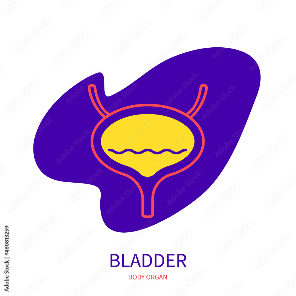 Bladder urinary system body organ outline icon on abstract geometric ...