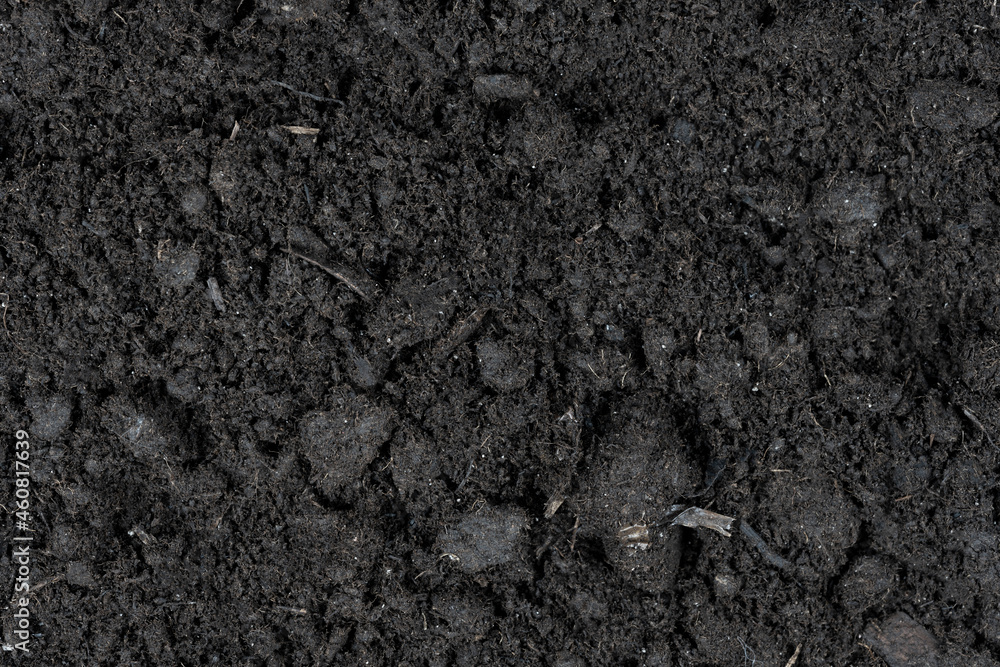 Black earth texture background. soil texture. Black land for plant ...