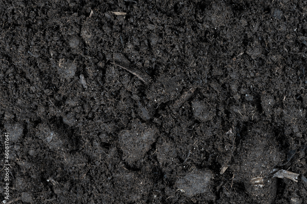 Black earth texture background. soil texture. Black land for plant ...