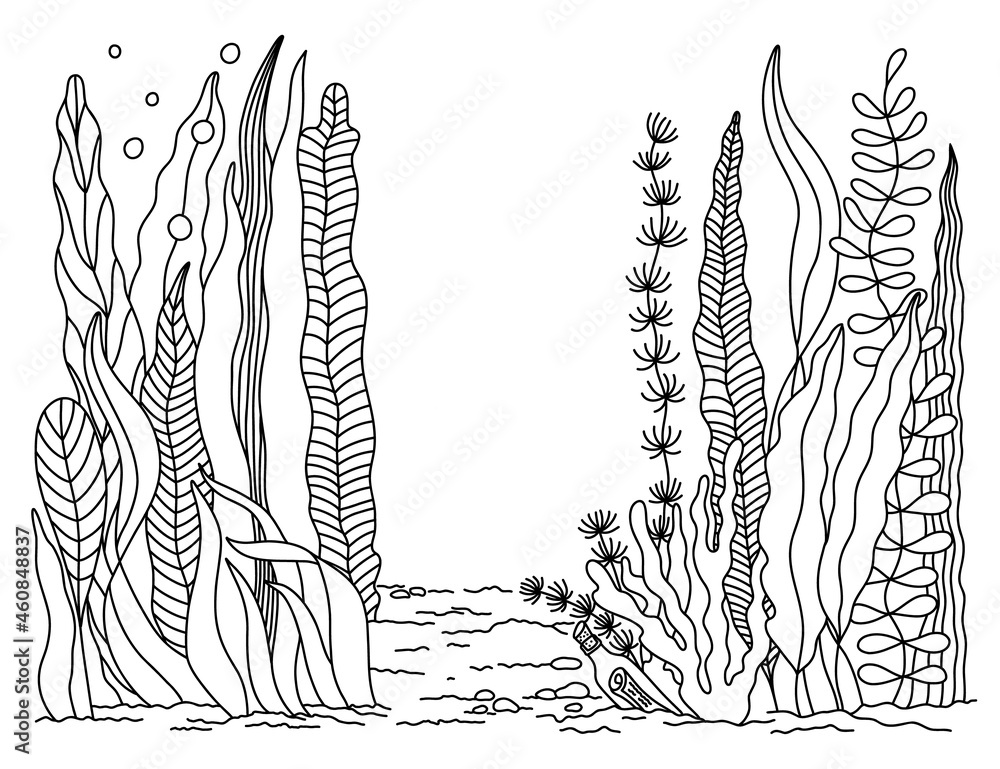 Outline Cartoon Seabed, coral reef with Seaweeds. Hand drawn Seascape ...