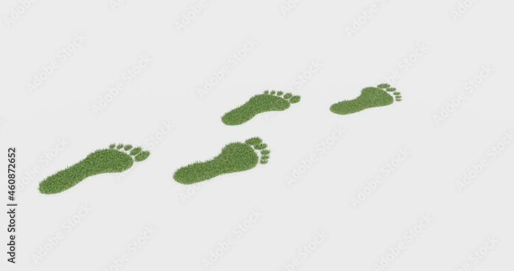 Green grass growing footprints, 3d animation on white background Stock ...