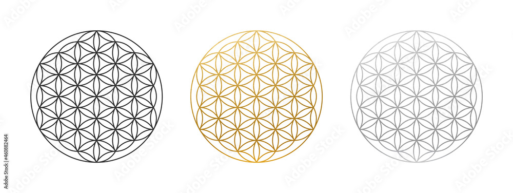 Flower of Life - Vector Set Stock Vector | Adobe Stock