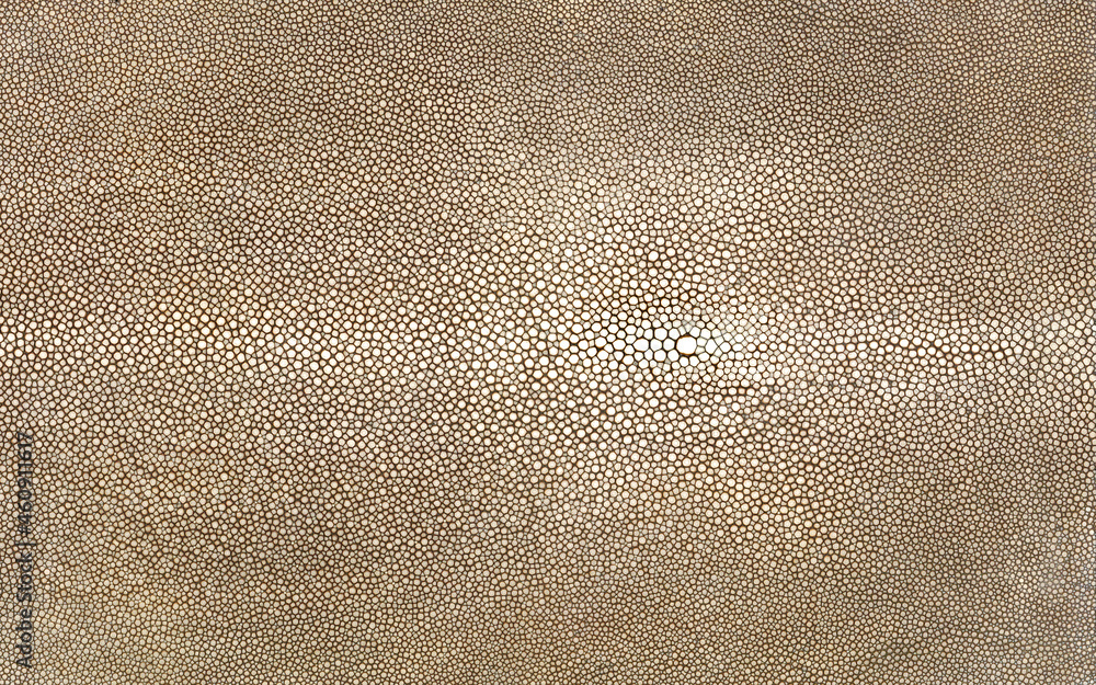 Light cream shagreen stingray skin texture high resolution Stock Photo ...