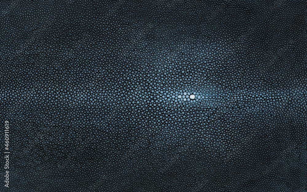 Beautiful dark blue tanned shagreen stingray skin isolated Stock Photo ...