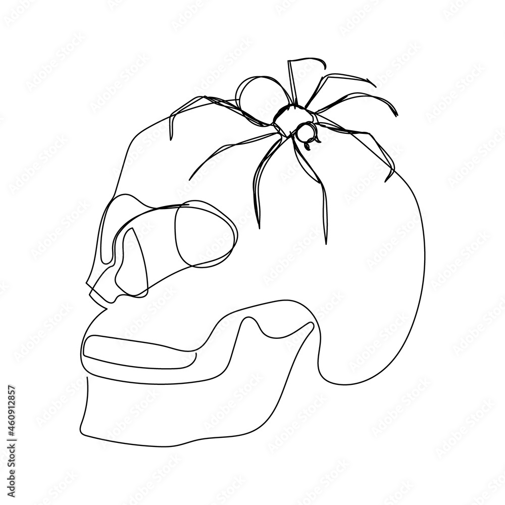 Human skull with spider one line art. Continuous line drawing of ...