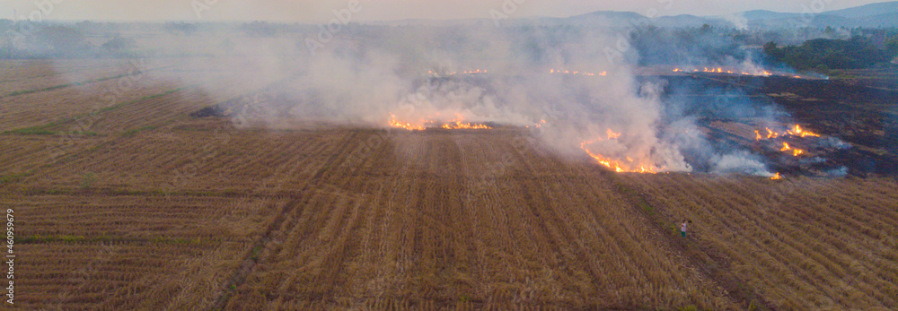 Rice farm burn fire after harvest cause of air pollution agricultural ...