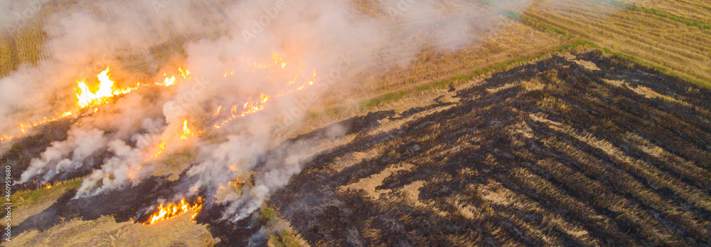 Rice farm burn fire after harvest cause of air pollution agricultural ...