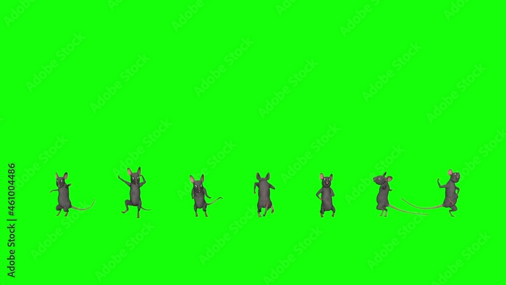 7 Funny Rats - Dancing Loop - Isolated 3D Animation - Green Screen ...