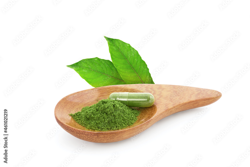 Kratom or Mitragyna speciosa and powder isolated on white background ...