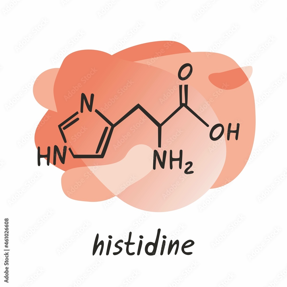 Chemical formula of the amino acid histidine is isolated on a grey ...