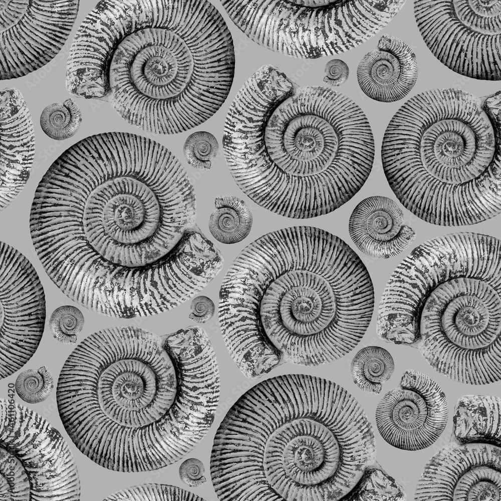 Ammonites on a gray background. Seamless pattern for design of clothes ...