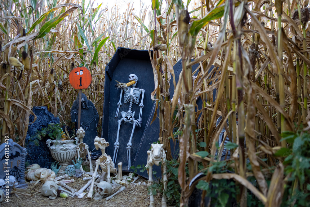 Halloween dead vampire skeleton in casket protected by dead dog ...