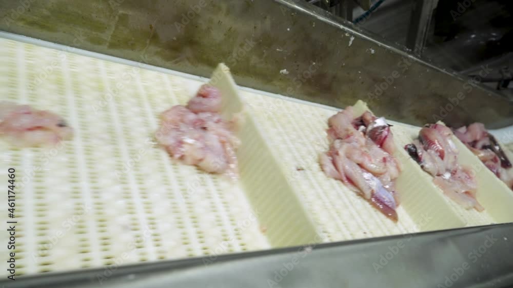 Vídeo do Stock: Conveyor belt at a fish factory on the high seas. The ...