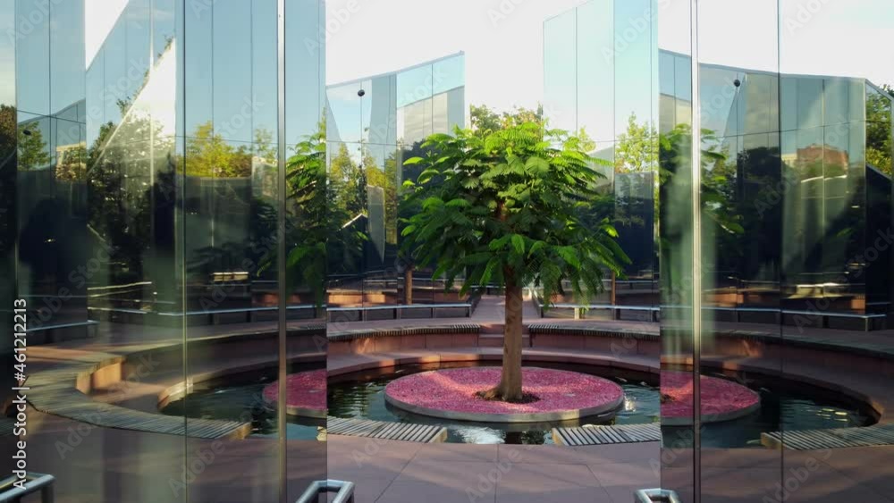 a tree in a modern park. A glazed space with a slender geometry under ...