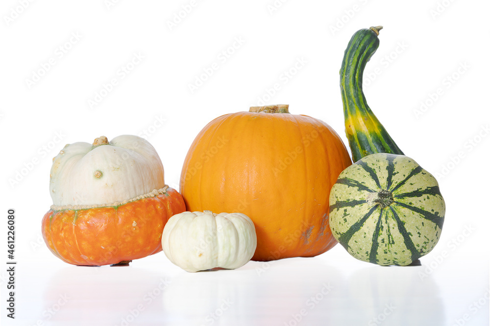 A selction of gourds, assorted colours and shapes shot landscape ...