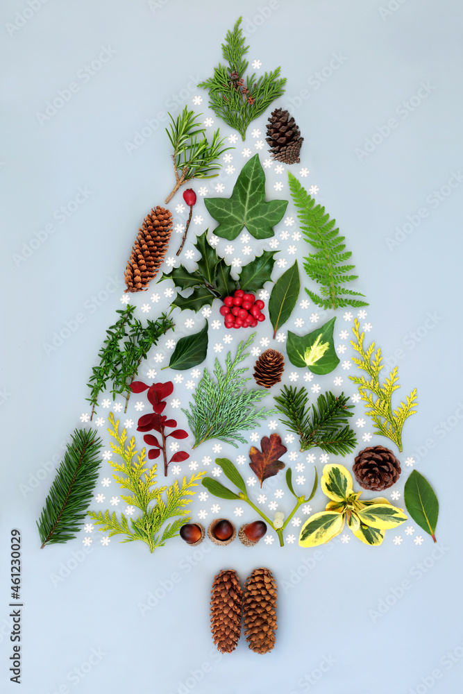 Christmas tree shape concept with winter holly and greenery of flora ...