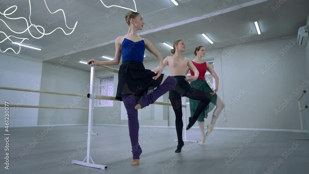 Gorgeous talented ballerinas rehearsing passe releve movement in studio ...