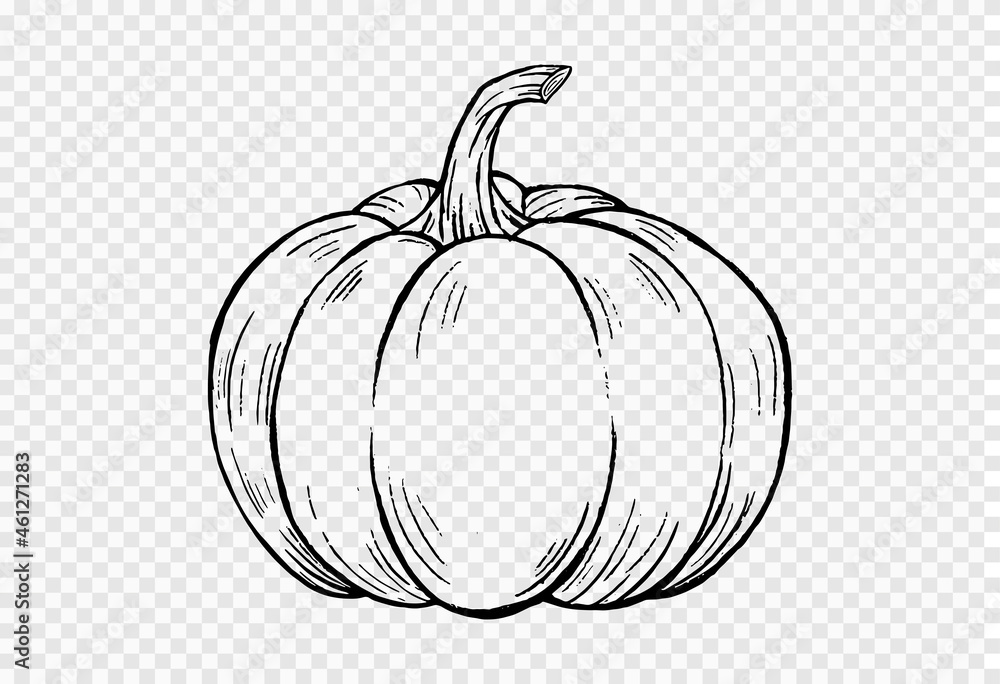 Grafika wektorowa Stock: Outline pumpkin hand draw with brush style ...
