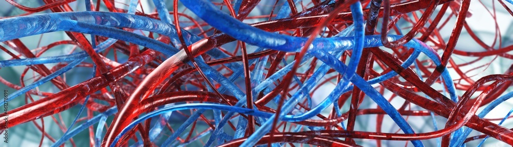 Blood vessels, circulatory system, veins and arteries, 3D rendering ...