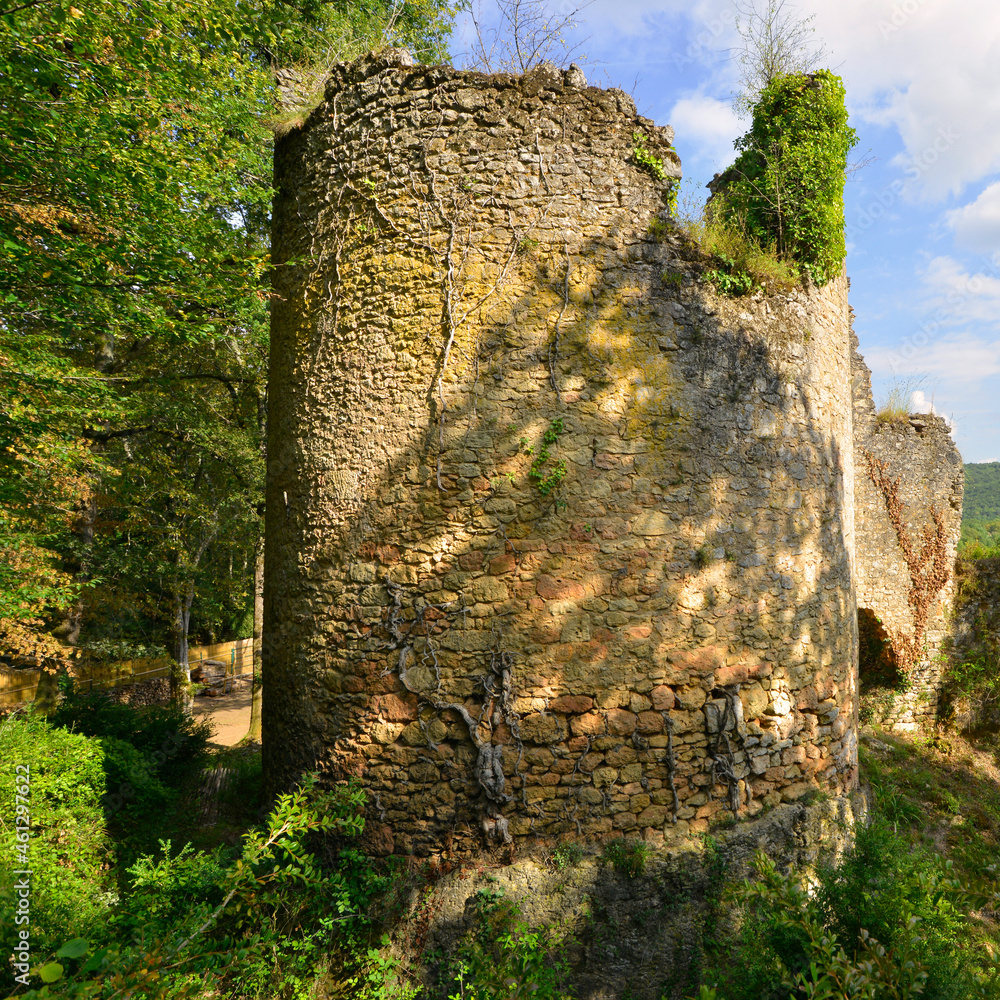 Carré tour en ruine du château fort du petit Marzac à Tursac (24620 ...