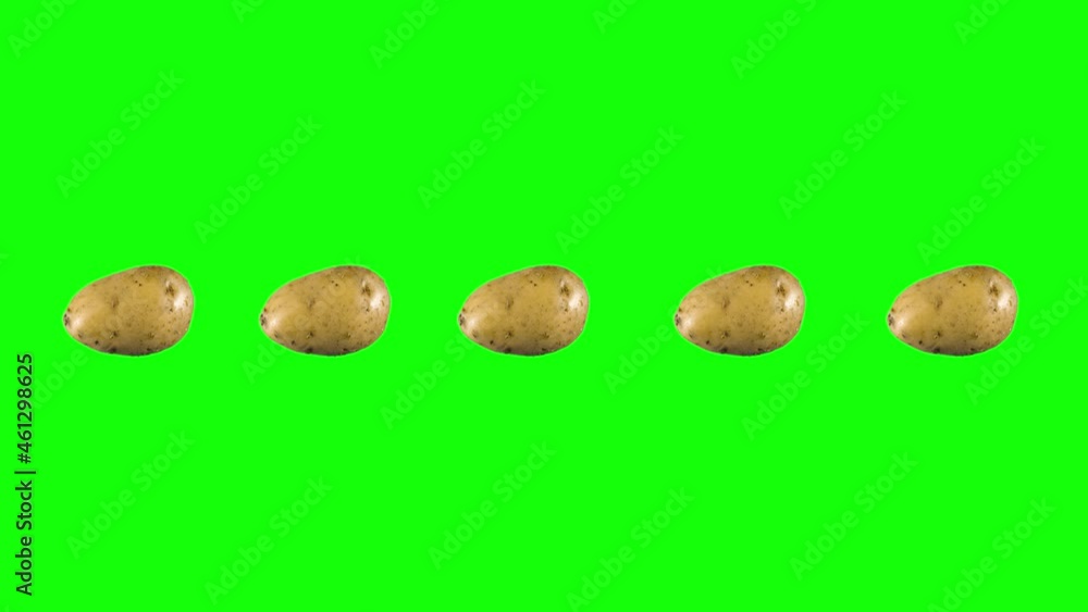 Rotating potato on a green background. Minimalistic animated design ...