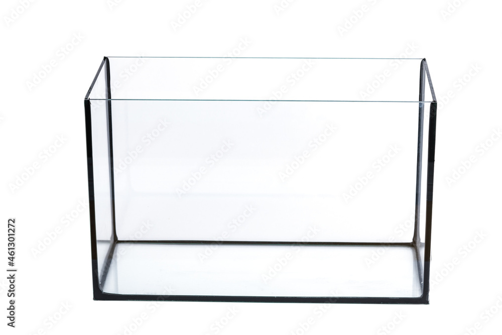 Empty Fish Tank Background