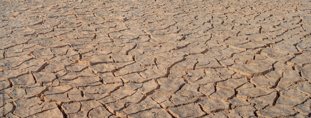 Barren Land Texture