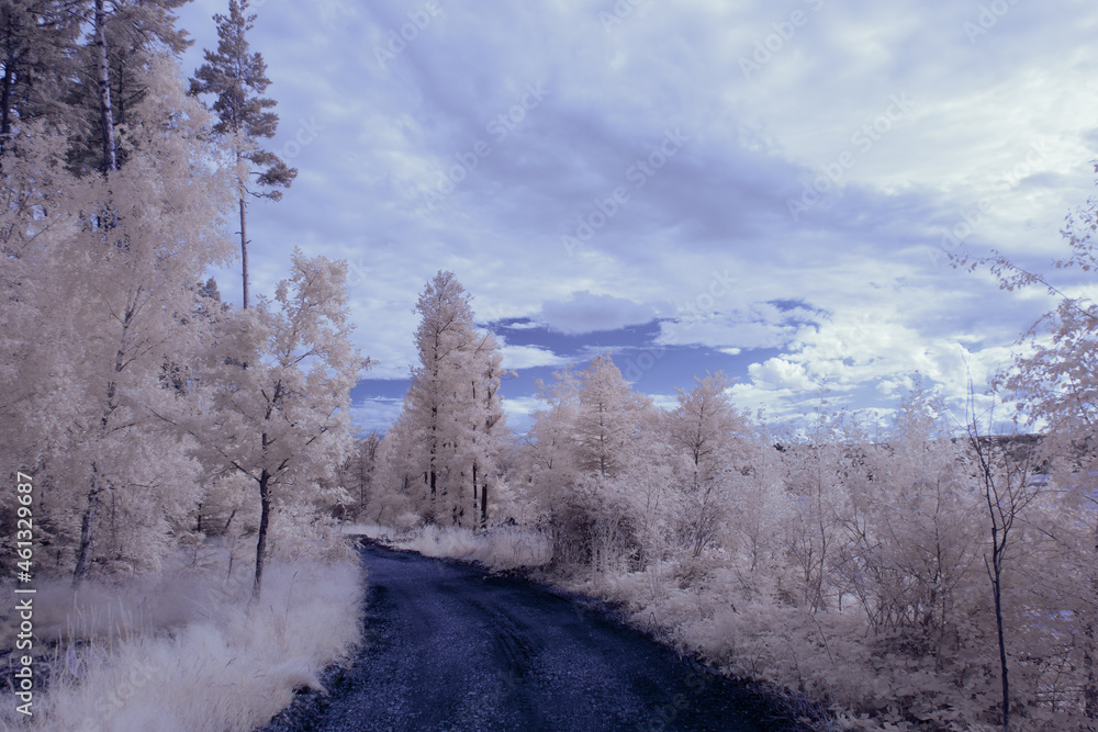 infrared photography - surreal ir photo of landscape with trees under ...