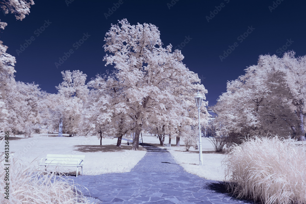 infrared photography - surreal ir photo of landscape with trees under ...