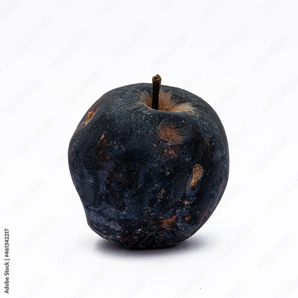 Blackened rotten apple isolated on white background. Object for design ...