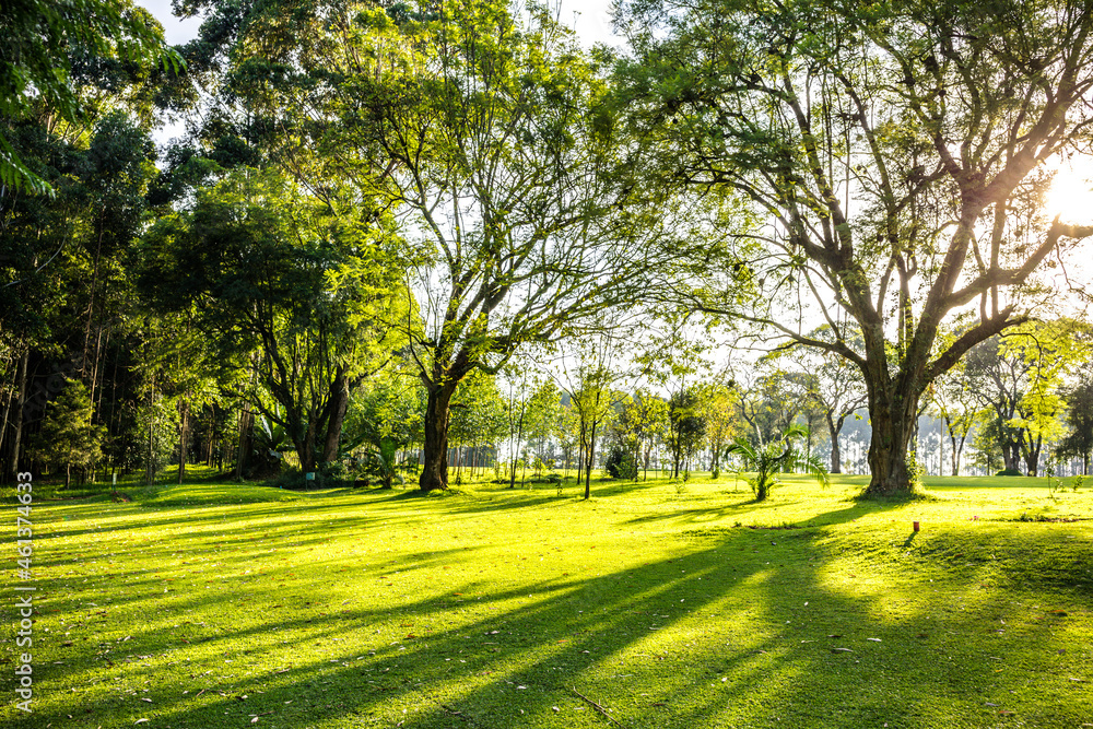 Kericho Golf Course Club Nairobi Road Londiani Kipkelion East Nature ...