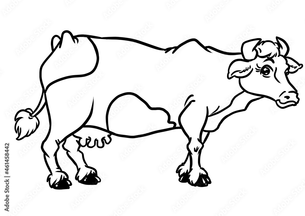 Cow standing profile contour illustration coloring book isolated image ...