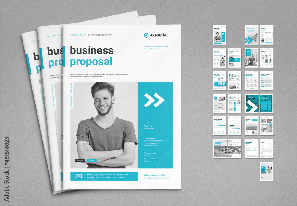 Business Offer Proposal Layout with Blue Elements Stock Template ...
