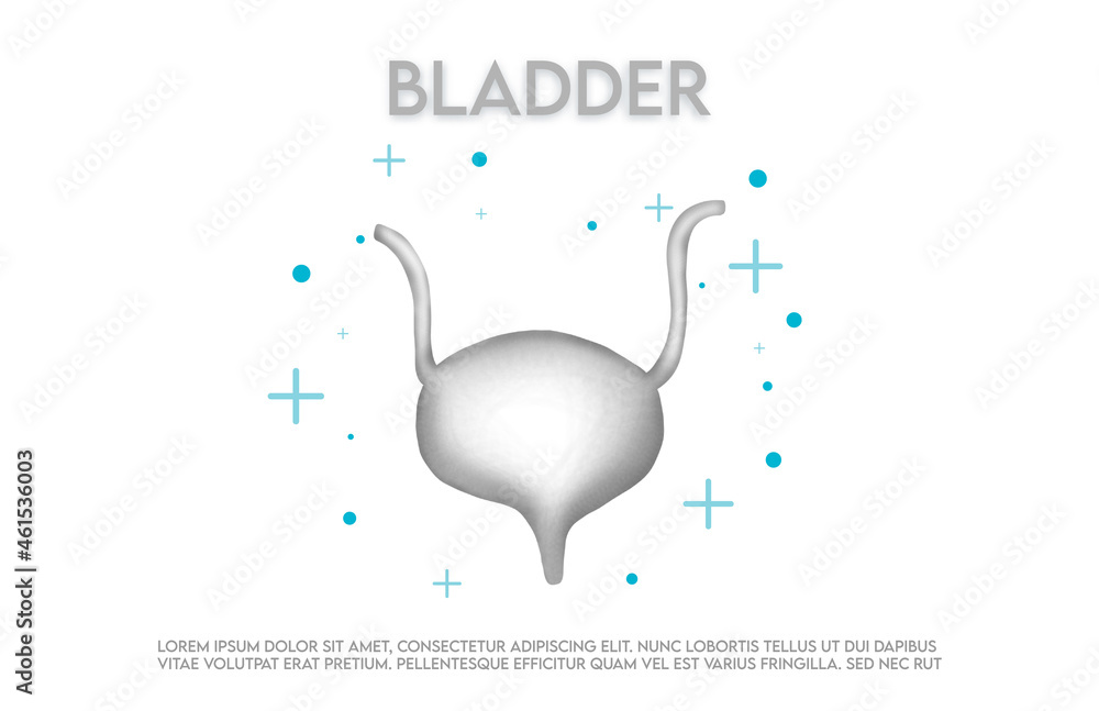 Human bladder and treatment watercolor style. A concept hospital for ...