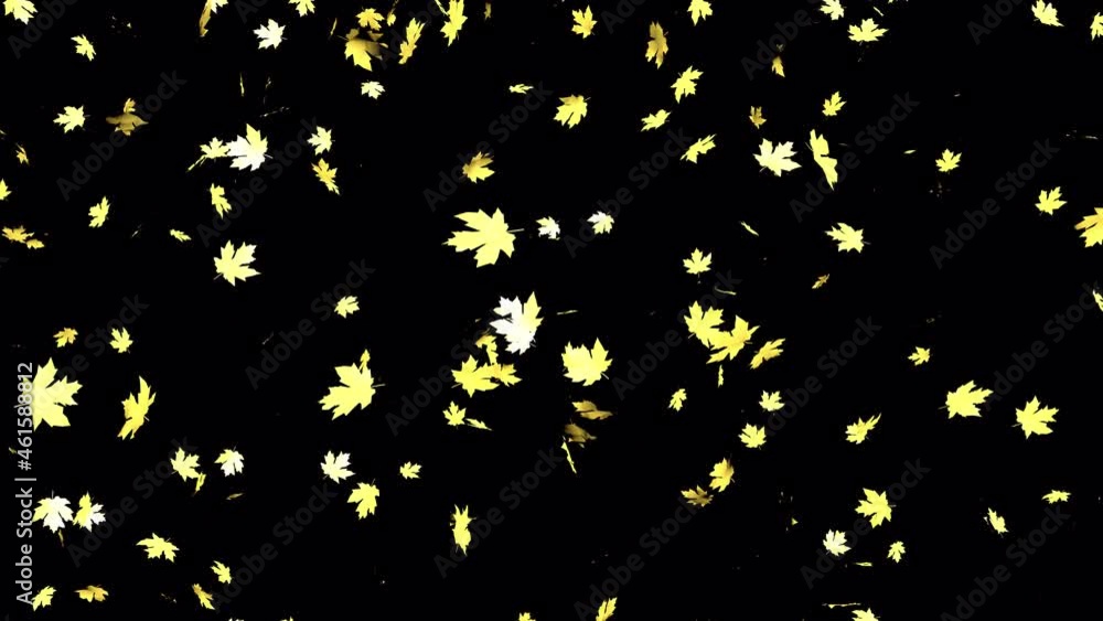 Leaf fall animation with wind. leaves falling effect on transparent ...