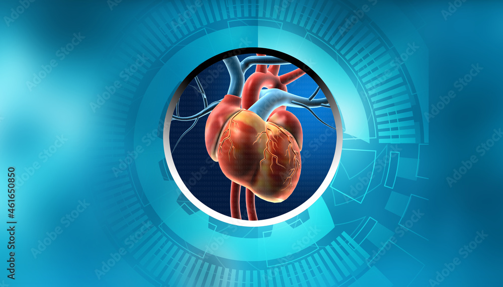 Human heart anatomy on digital technology background. 3d illustration ...