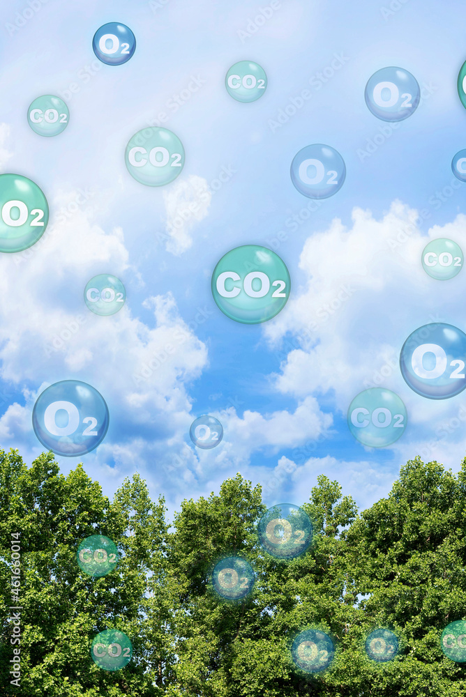 Tree canopy against a sky background with oxygen O2 and carbon dioxide ...