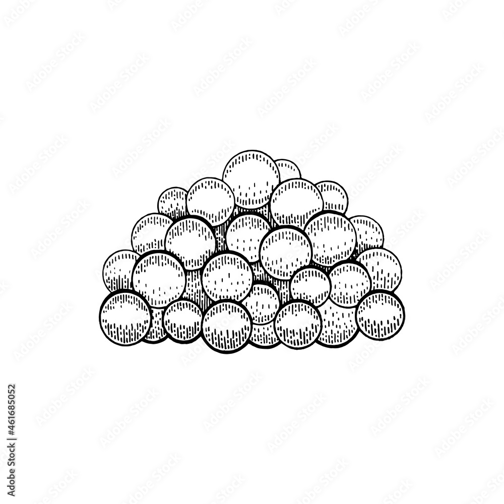 Caviar spoon. Etching sketch caviar wood spoon. Wooden ladle shovel ...