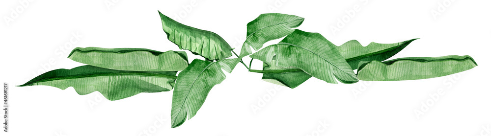 Banana tree leaves watercolor border frame template. Template for ...