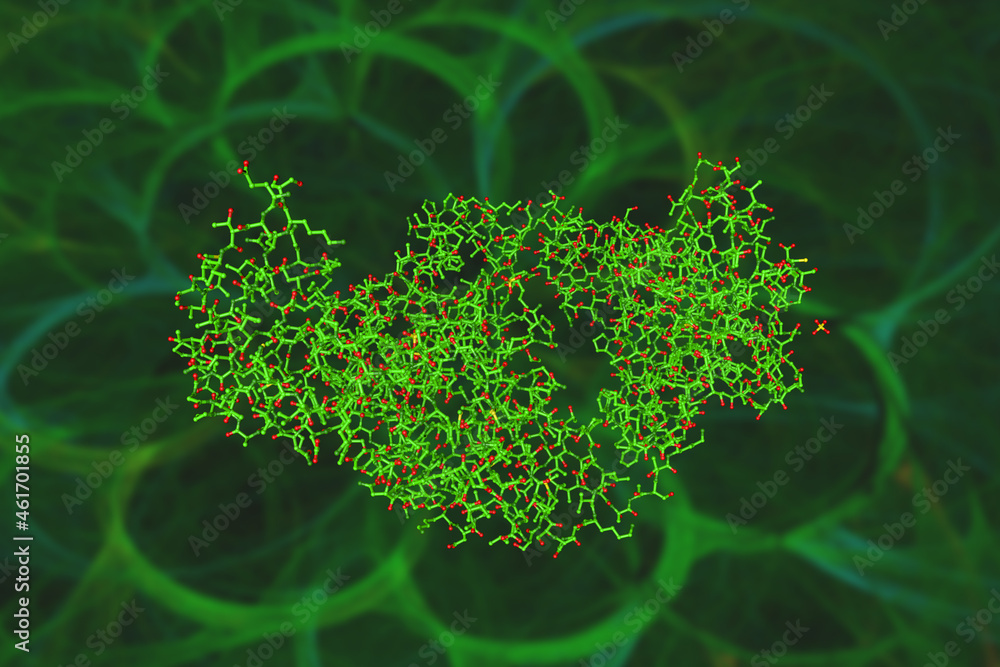 Molecular model of interleukin-16 (IL-16) bound to the 14.1 antibody ...