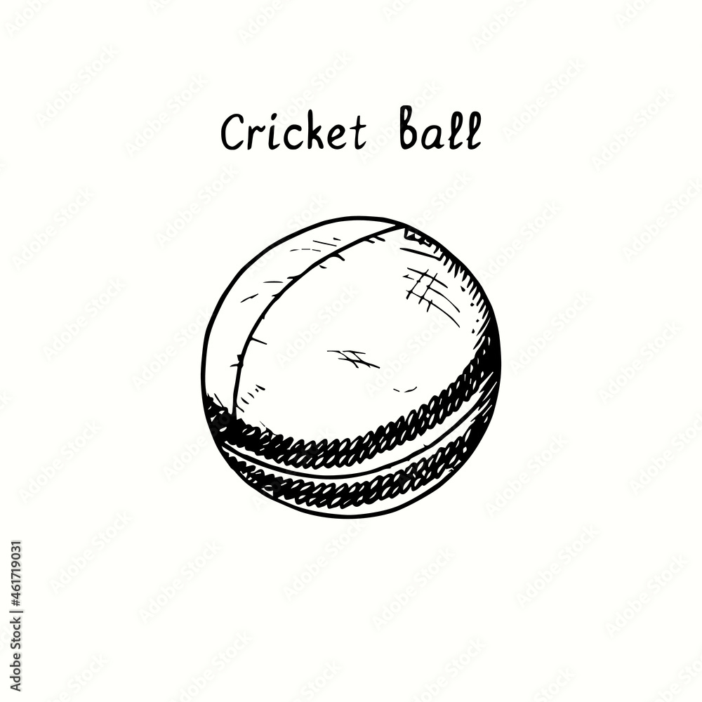 Cricket ball. Ink black and white doodle drawing in woodcut style ...