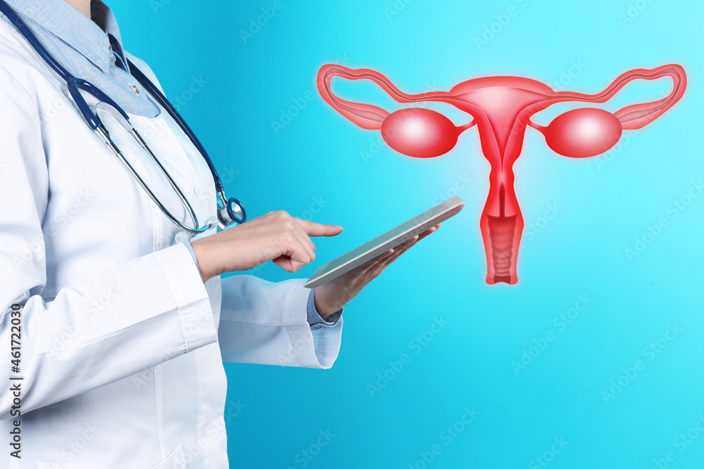 Doctor with tablet and illustration of female reproductive system on ...