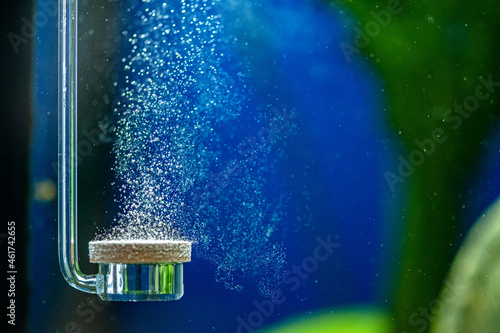 Oxygen diffuser under water pumping a lot of small bubbles. Oxygen ...