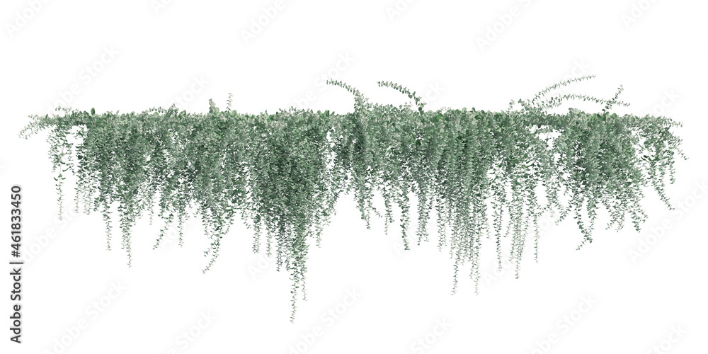 Climbing plants creepers isolated on white background 3d illustration ...