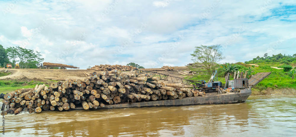 Timber loaded into big barge then drag by a tugboat cruising Mahakam ...