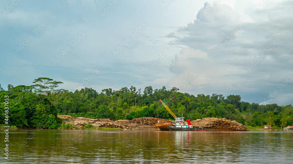 Timber loaded into big barge then drag by a tugboat cruising Mahakam ...